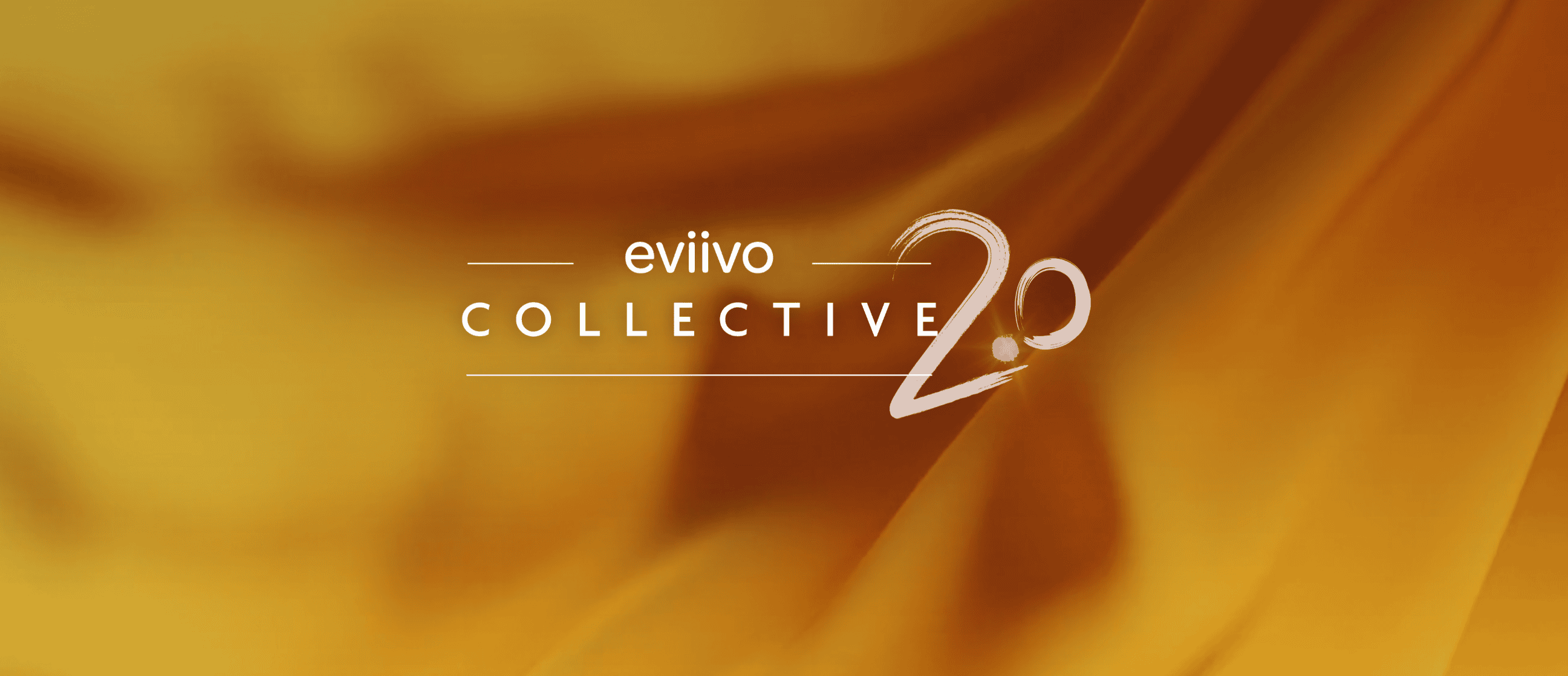 eviivo Collective 2.0 World Tour | eviivo
